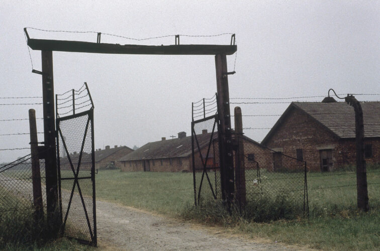 Local nonprofit helps bring awareness to Holocaust through annual essay ...